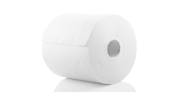 Plenty Bathroom Rolls Tissue (Box 100 Roll) – Bekasi Belanja
